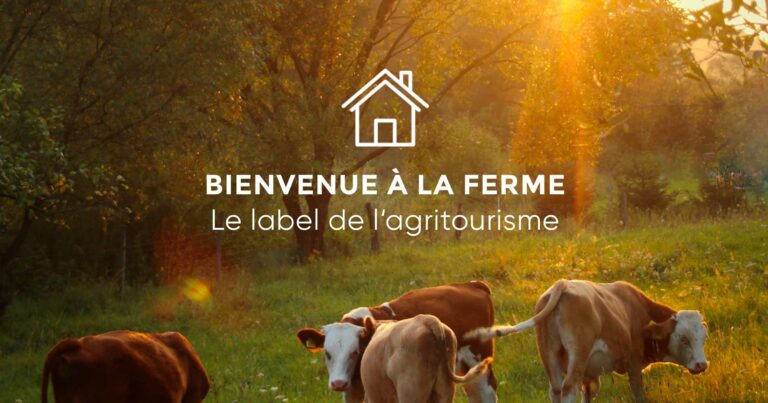 Découvrir le label Bienvenue à la ferme : l'excellence de l ...